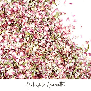 RainbowPana 30 Pack Pre-assembled Biodegradable Confetti with Hanging Cones | Cones & Ribbon + Dried Flower Petals | Wedding Confetti, Dried Real Flower Petals | Wedding Send-Off Ideas