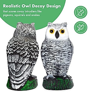 Horned Fake Owl and Bird - 10.5" Plastic Owls to Scare Birds Away - Effective Bird Devices - Scarecrow for Garden - Bird Devices Outdoor, Keep Birds Away