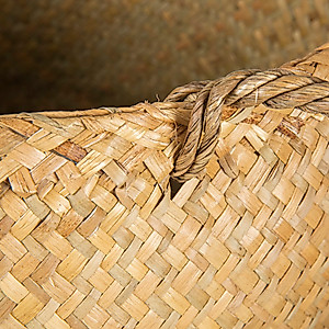 Creative Co-Op Beige Woven Seagrass Basket with Handles (Set of 2 Sizes)