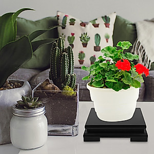 Cabilock Farmhouse Riser for Room Decor: Decorative Pedestal Stand Beautiful Pedestal Stand Uniquely Displays Your Decorations Rustic Bathroom Counter Tray and Kitchen Decor