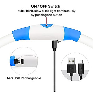 iTayga LED Dog Collar USB Rechargeable Light Up Dog Collar Adjustable TPU Pet Collars for Large Medium and Small Dogs (Blue)