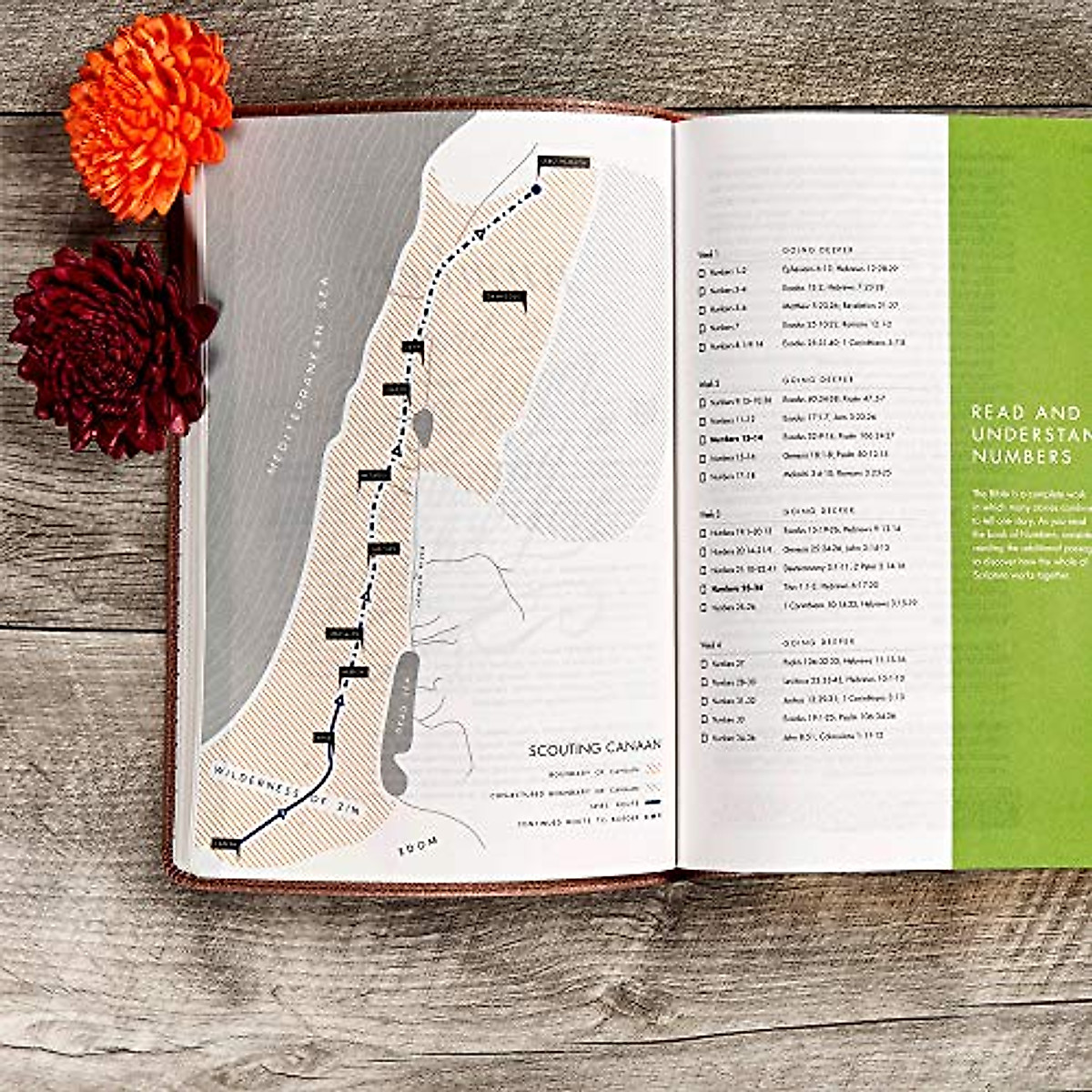 CSB She Reads Truth Bible, Rose Gold LeatherTouch, Black Letter, Full-Color Design, Wide Margins, Journaling Space, Devotionals, Reading Plans, Single-Column, Easy-to-Read Bible Serif Type