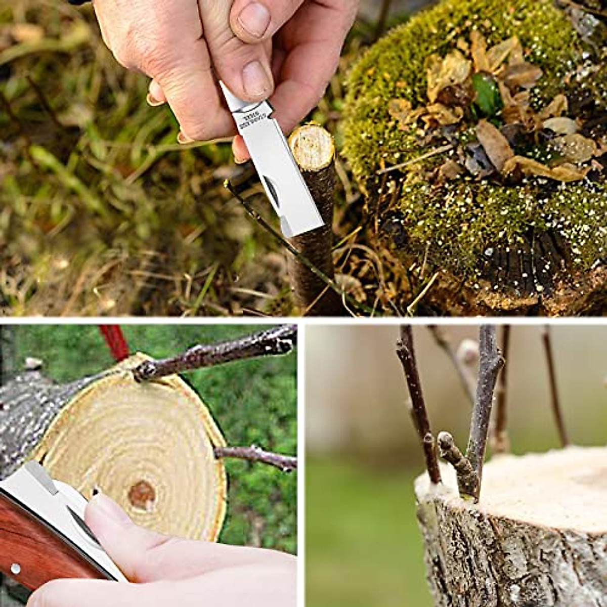 Garden Grafting Tool Kit for Fruit Trees,Includes Grafting knife Grafting Buddy Tape Twist Tie for Plant