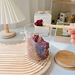 4Pack-18.5Oz,Glass Jars Containers with Bamboo Airtight Lid & Spoon, Food Storage Canister, Clear Glass Canisters for Cookie, Candy, Coffee, Sugar, Matcha Tea, Flour, Nuts & More