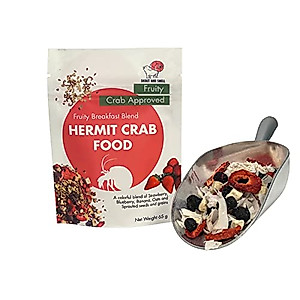 Snout and Shell Fruity Breakfast Blend Hermit Crab Dry Food - High Protein & Nutrient Blend Diet of Rolled Oats, Blueberries, Strawberry, Banana, Sprouted Seeds Mix - Aquatic Pet Snack Treat | 65g