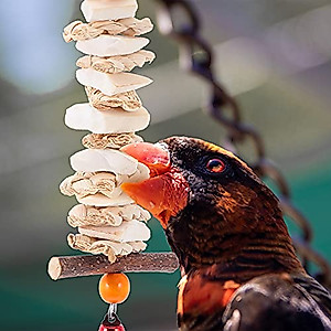 POPETPOP Cuttlebone for Bird- Cuddle Bone Toys with Bells Hanging on Cage Bird Natural Treats Parrot Beak Grinding Stone for Parrot Budgie Random Color