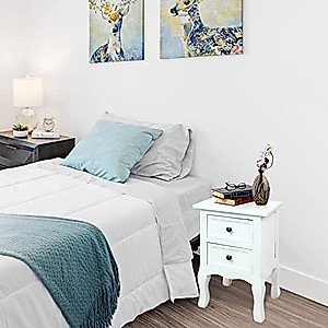 ECOMEX White Nightstand with 2 Drawers, Wooden Night Stand Fully Assembled White Night Stand with Storage for Small Space Bedroom Office, European Style 1Pc