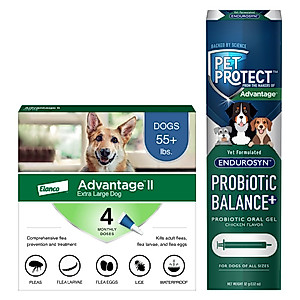 Bundle of Advantage II XL Dog| Dogs Over 55 lbs. | 4-Month Supply + Pet Protect Probiotic Balance+ Dog Supplement | Oral Gel | 32g