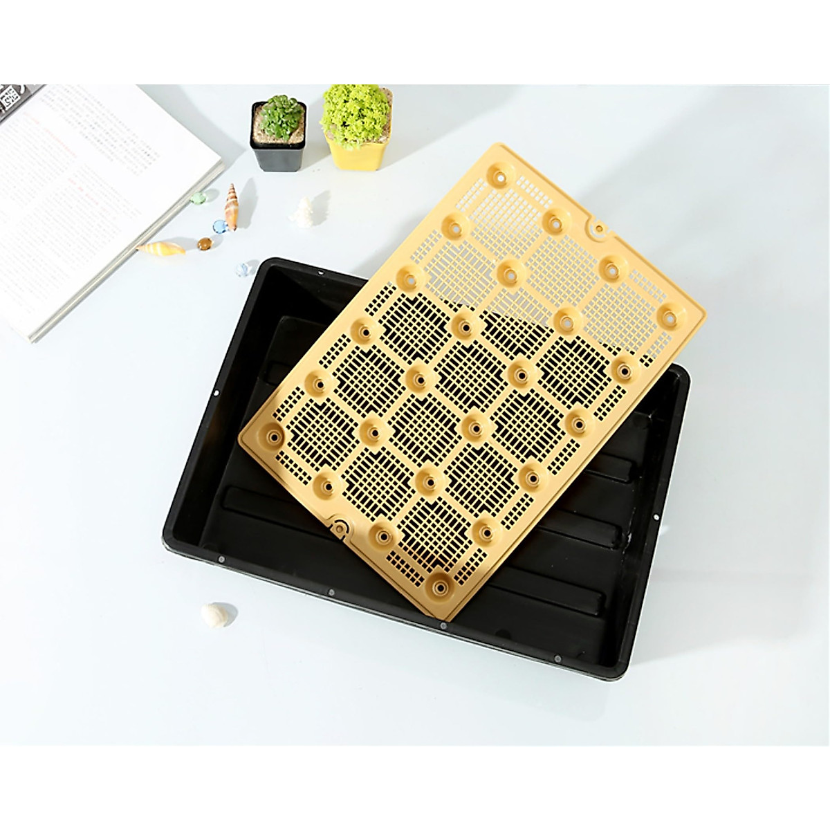 Lil Gnomies Propagator with Humidity Dome Durable Seed Tray Germinating Cutting Clone & Plant Propagation Kit (Propagator+24LitePot)