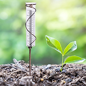 BIUWING 7 inch Rain Gauge Replacement Tube Glass for Yard Garden and Outdoor Home, with Tube Brush, Best Rated,2 Packs