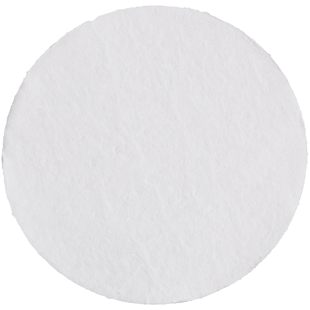 Whatman 1820-047 Glass Microfiber Binder Free Filter, 1.6 Micron, 4.3 s/100mL Flow Rate, Grade GF/A, 4.7cm Diameter (Pack of 100)