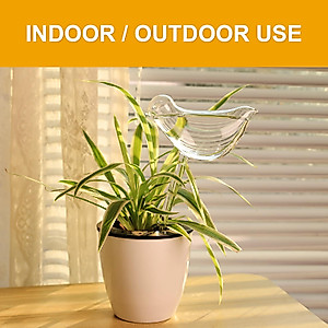 KiKiHeim Plant Watering Globes Self Watering Planter Insert, Clear Glass Bird Shape Water Bulbs, Self Watering Globes for Indoor Plants, Gifts for Plant Lovers