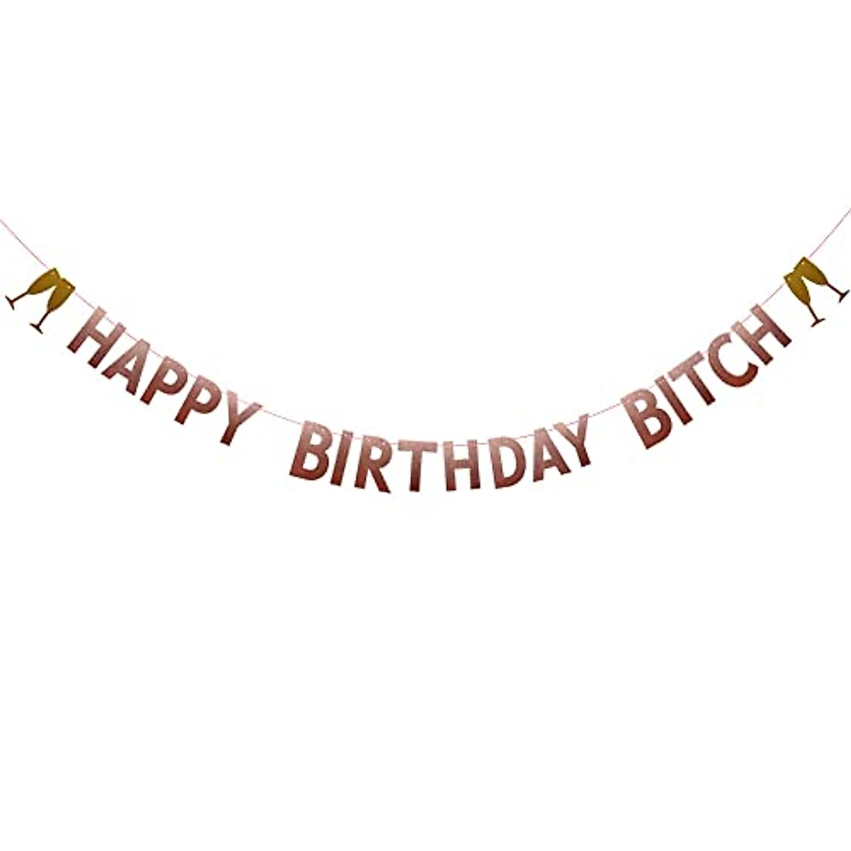 HAPPY BIRTHDAY BITCH Banner,Pre-strung,No Assembly Required, Birthday Party Decorations, Rose Gold Glitter Paper Garlands Backdrops,Letters Rose Gold Betteryanzi