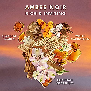 Moroccanoil Shower Gel, Ambre Noir, 8.5 Fl. Oz.