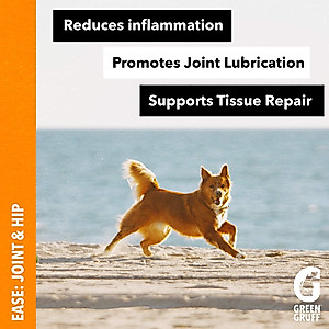 Green Gruff Dog Probiotics & Digestive Enzymes and Hip & Joint Supplement Bundle - Organic Dog Immune Supplement – Dog Arthritis Supplement - Joint Mobility, Arthritis Relief for Dogs - Made in USA
