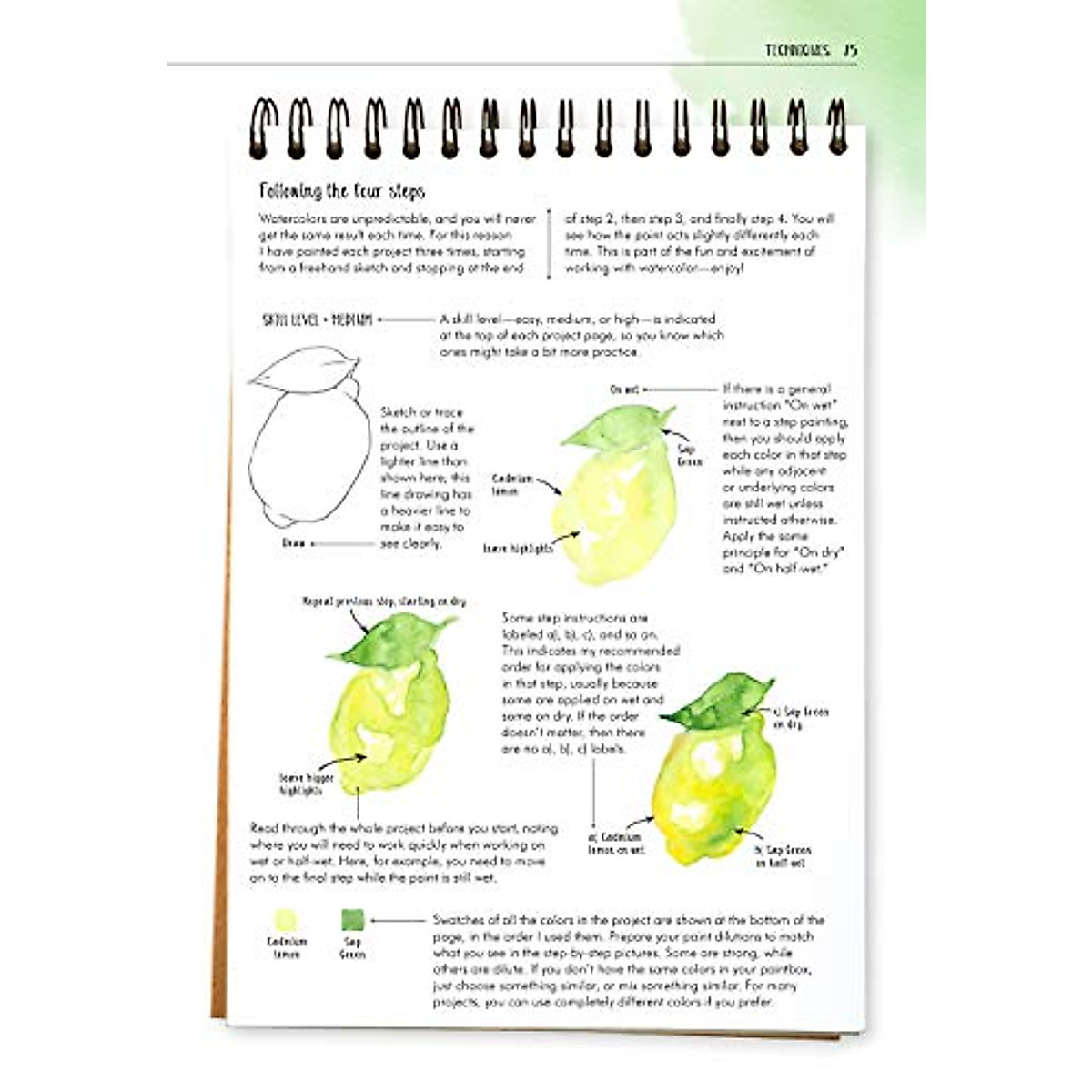 Watercolor Success in Four Steps: 150 Skill-Building Projects to Paint (Design Originals) Beginner-Friendly Step-by-Step Instructions & Techniques to Create Beautiful Paintings as Easy as 1-2-3-4