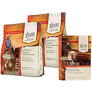 UltraCruz Equine MSM, Glucosamine Sulfate and Chondroitin Sulfate Horse Joint Supplement Bundle, 4 lb Each MSM and Glucosamine, 1 lb Chondroitin, Powders