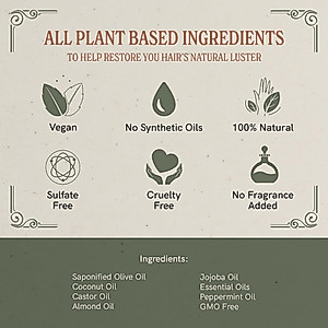 J·R·LIGGETT'S All-Natural Shampoo Bar, Jojoba & Peppermint Formula-Supports Strong & Healthy Hair-Nourish Follicles with Antioxidants & Vitamins-Detergent and Sulfate-Free, Set of Three,3.5 Ounce Bars