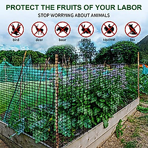 NestBasics Garden Bird Netting Garden Fencing Netting mesh 101 ft x 7 ft Durable Bird Netting Fencing Barrier for Plastic Protection net mesh for Fruit Vegetable Flower Garden