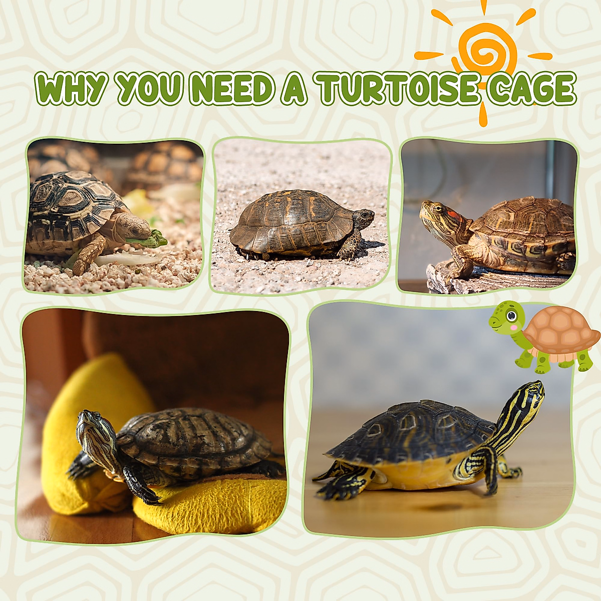 PawHut 37" Wooden Tortoise House Turtle Terrarium/Small Reptile Enclosure with Two Room Design, Natural