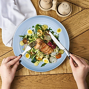 OAMCEG 6 Pack Reusable Plastic Plates 9 Inch Unbreakable Eco-Friendly Lightweight Wheat Straw Plates, Salad Plates, Camping Plates, Dishwasher & Microwave Safe, Green and Healthy Dishes