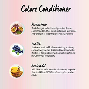 Kodiake Kaaral Purify Colore Color Protection Conditioner 8.8 Ounces