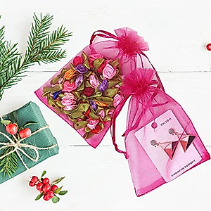 Dealglad 100Pcs Organza Bags 4x6 Inch, Hot Pink Small Jewelry Bags Drawstring Mesh Gift Bags Wedding Party Favor Christmas Candy Pouches