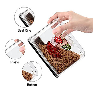 Magic Mushrooms Storage Box Plastic Food Organizer Container Canisters with Lid for Kitchen