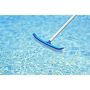 Poolmaster 18100 Curved Swimming Pool Brush Head, 17.5-Inches, Essential Collection, Blue