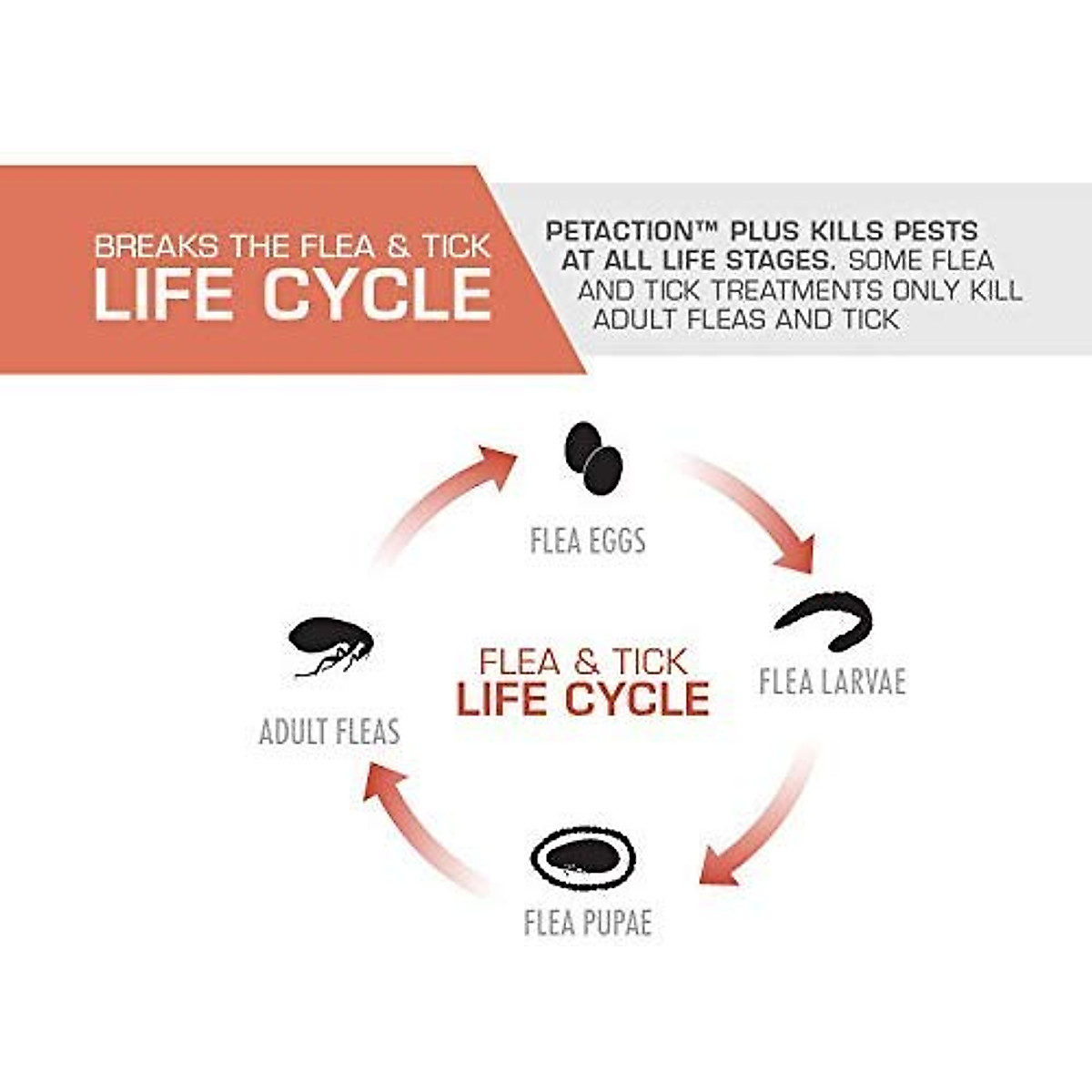 PetAction Plus for Cats 12 Doses