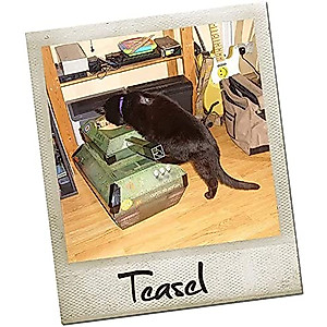 Suck UK | Cat Tank Play House | Send Your Feline to the Frontline with a Cardboard Cat House | Interactive Cat Toys & Kitten Toys | | Tank You for Your Service | Cardboard Cat Houses & Condos |