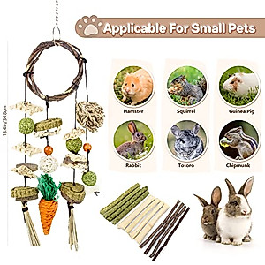 HOSFROLL Rabbit Toys, Bunny Chew Toys Cage Hanging Guinea Pig Toys Rattan Ring with 12Pcs Sticks Snacks for Rat Hamster