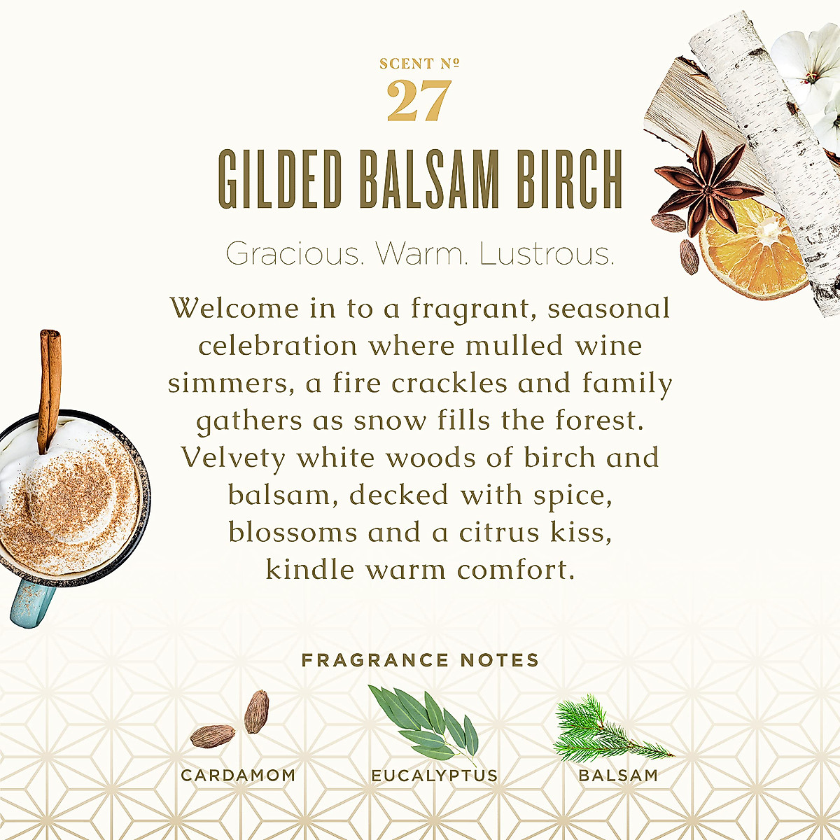 Caldrea Dish Soap, Biodegradable Dishwashing Liquid made with Soap Bark and Aloe Vera, Gilded Balsam Birch Scent, 16 oz