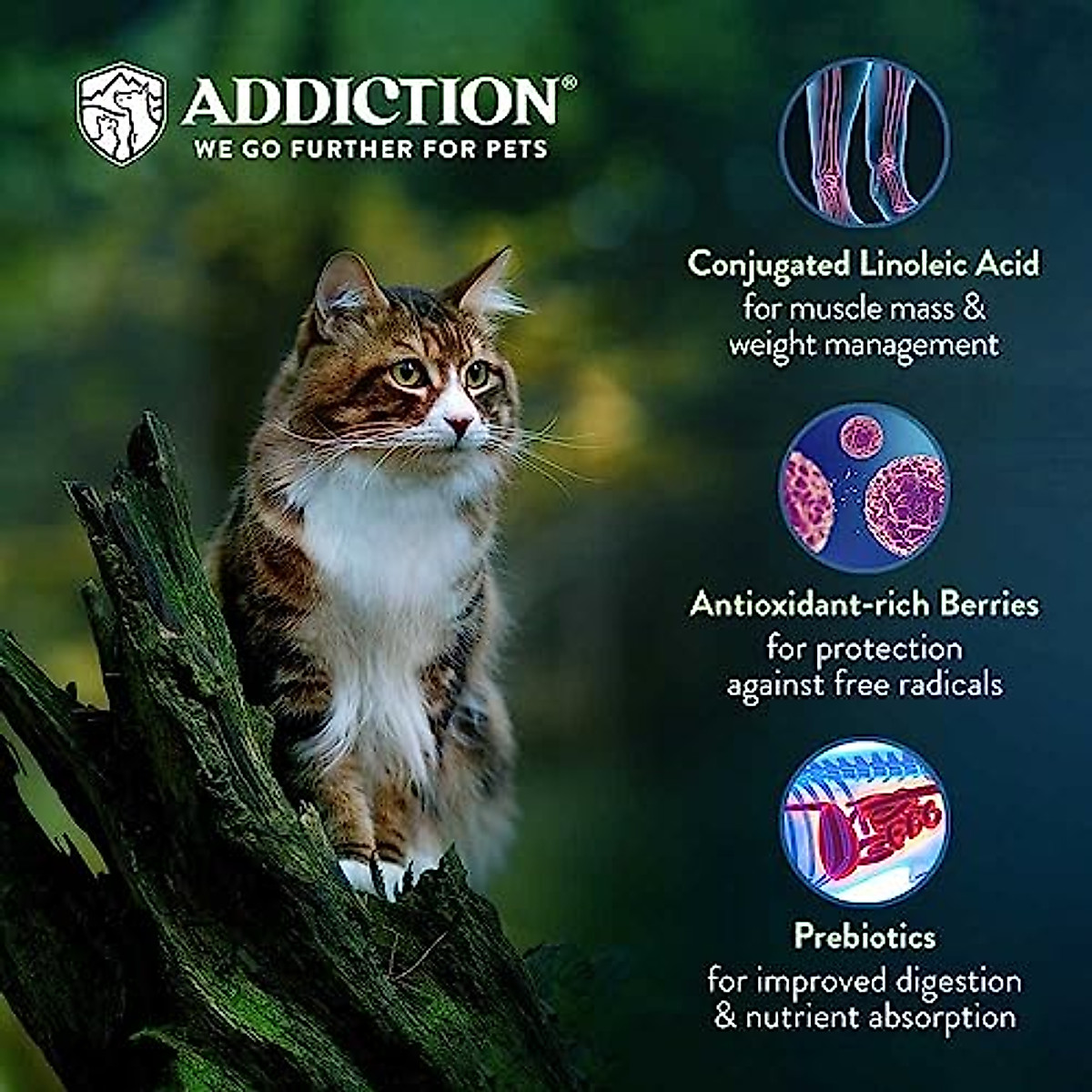 Addiction Viva Venison Cat Grain Free Dry Cat Food Novel High Protein Recipe Crafted in New Zealand 4lb
