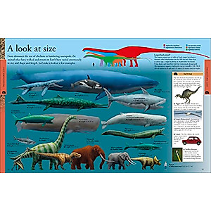 Dinosaurs: A Visual Encyclopedia, 2nd Edition (DK Children's Visual Encyclopedias)
