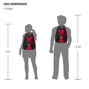 SwissGear 1900 Scansmart TSA 17-Inch Laptop Backpack, Black/Red