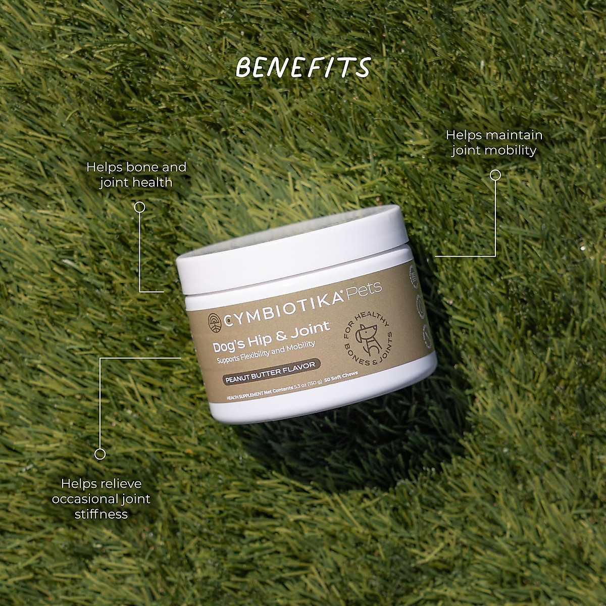 CYMBIOTIKA Dog Hip & Joint Support Supplement, Cod Liver Oil and MSM Supplement for Dog Bone Health Support, Omega Rich Chewy Treats for Small to Large Breed Dogs, Peanut Butter Flavor, 50 Chews