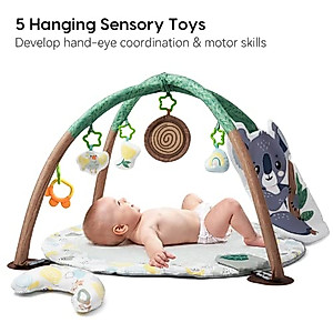 Lupantte 4-in-1 Baby Play Gym, Activity Gym Ball Pit with Detachable Anti-Slip Thickening Tummy Time Mat with Sensory Toys for Newborn Infant Toddler to Develop Motor&Cognition,Include 40 Balls