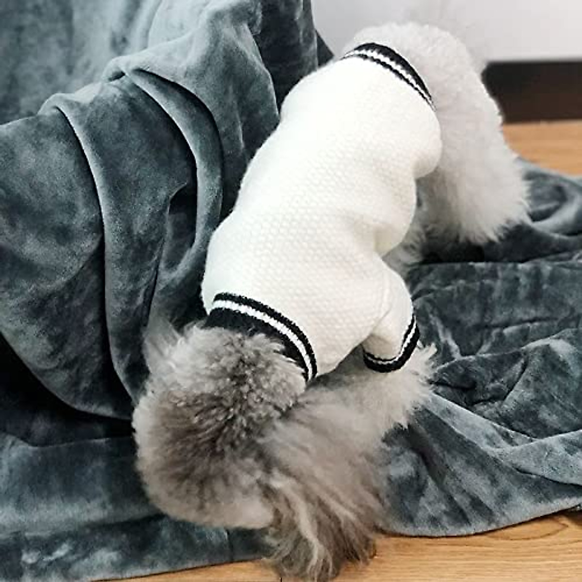 Sphynx Cat Clothes Hairless Cat Clothes Winter Casual Cotton Jacket Cat Sweater for Small Cats and Dogs Cornish,Devon,Perterbald (XL)