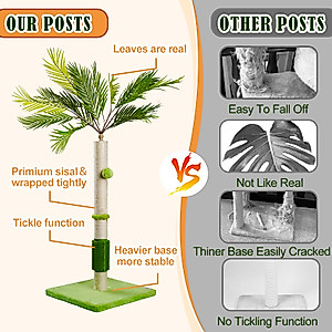 MeowHomm Cat Scratching Post, Cat Palm Tree for Indoor Cats with Natural Sisal Scratch Pole Hanging Sisal Ropes and Balls, Cute 40" Tall Cat Scratcher for Large Cat and Kittens