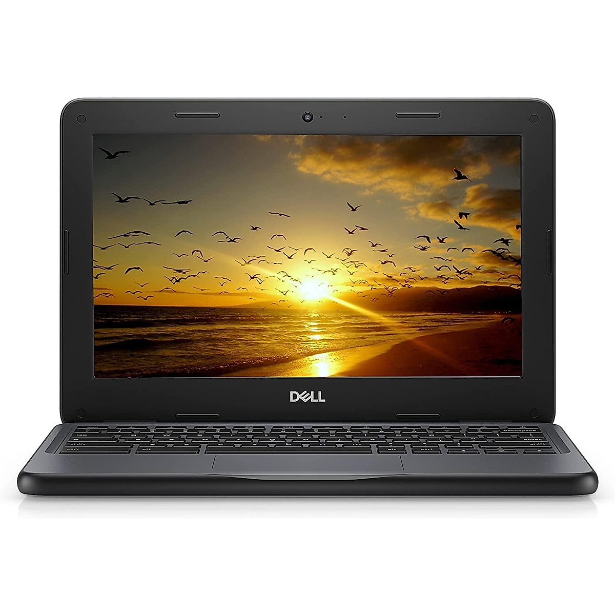 Dell Chromebook 3180 Laptop Computer, 11.6 Inch Laptop PC, Intel Celeron N3060, 4GB RAM, 16GB SSD, Web Camera, Wi-Fi, Bluetooth, HDMI, Chrome OS (Renewed)