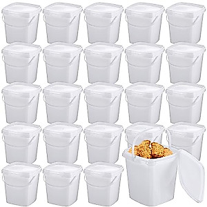 24 Pcs 67 Oz/ 2 Qt/ 2 L Square Deli Containers with Lids Ice Cream Bucket with Handle Airtight Plastic Ice Cream Tub Containers with Lids Reusable Pail for Food Drinks Storage Freezer Microwave