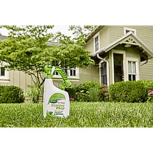 Scotts Turf Builder Starter Food for New Grass Ready-Spray, 32 oz.
