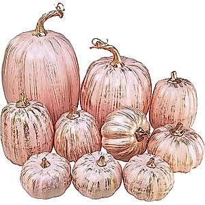 Winlyn 10 Pcs Assorted Artificial Gold Brushed Pink Pumpkins Rustic Decorative Pumpkins Foam Pumpkins for Farmhouse Fall Wedding Baby Shower Halloween Tabletop Centerpiece Mantel Decoration