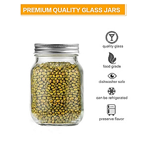 16 oz Mason Jars With Lids Regular Mouth 15 Pack-16 oz Glass Jars with Lids,Bulk Pint Clear Glass Jars For Meal Prep, Food Storage With 20 Labels (Silver Lids)