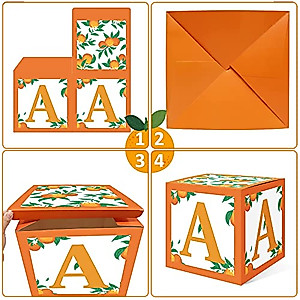 Sinasasspel Little Cutie Baby Shower Decorations Orange Balloon Boxes 1st Birthday Party Backdrop Supplies Including Clementine Party Boxes Block Orange Peach Latex Balloons Eucalyptus Leaves Ivy