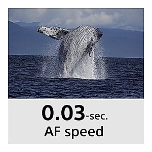 Sony Cyber?Shot RX10 IV with 0.03 Second Auto-Focus & 25x Optical Zoom (DSC-RX10M4) (Renewed)