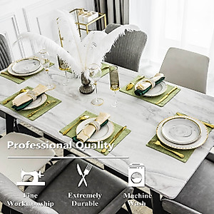 Home Brilliant Green Placemat Set of 4 Washable Place Mats Placemats Heat Resistant Sage Placemat for Dining Table Kitchen Table Mats Spring Dinner Decor, Grass Green