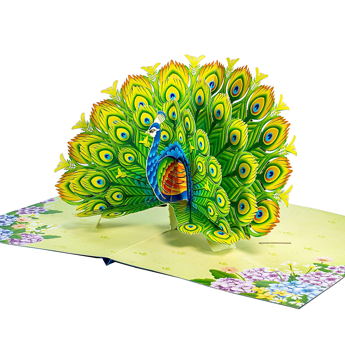 WOWPAPERART Peacock - 3D Pop Up Greeting Card For All Occasions - Love, Birthday, Christmas - Message Note for Personalized - Thick Envelope - 5x7 In