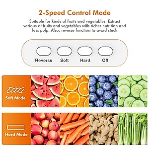 KOIOS Upgraded Juicer Machines, Cold Press Juicer, Slow Masticating Juicers with Two Speed Modes, Juicer Extractor for fruits and veggies, Reverse Function, Full Copper Motor, Easy to Clean with Brush